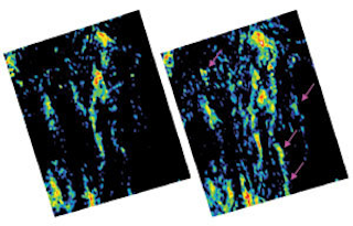 4D seismic provides quantitative data | Offshore Magazine