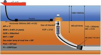 Jubarte field production enhanced with wellbore ESP | Offshore