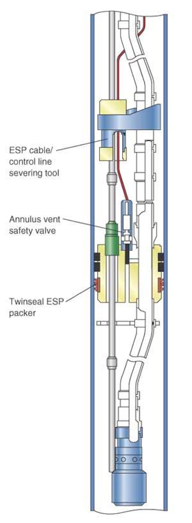 Well recompletion with ESP triples production for deepwater well | Offshore