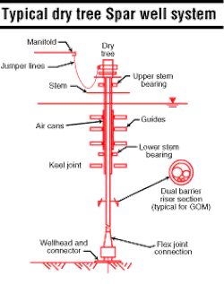 Dry vs. wet trees on production platforms with direct access wells in ...
