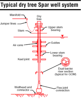 Dry vs. wet trees on production platforms with direct access wells in ...