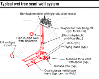 Dry vs. wet trees on production platforms with direct access wells in ...