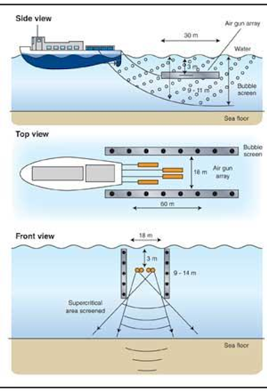 Seismic survey noise under examination | Offshore