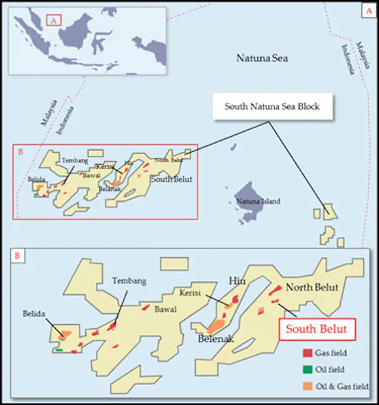 South Belut onstream offshore Indonesia | Offshore