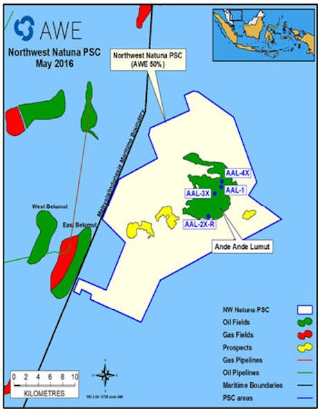 Santos to side track offshore Indonesia appraisal well | Offshore