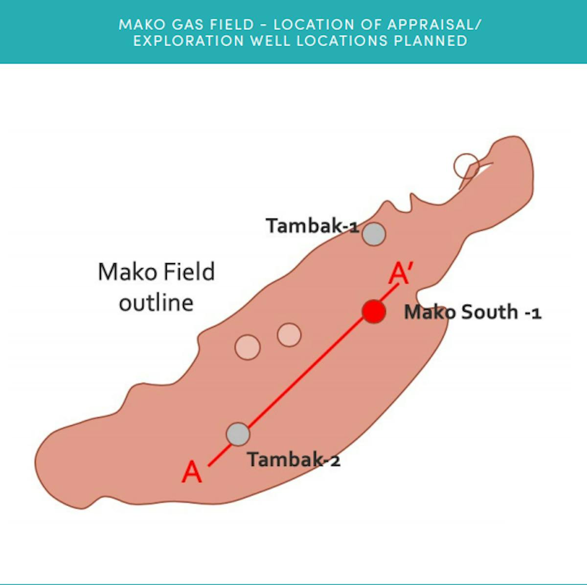 Mako well offshore Indonesia strengthens gas resource | Offshore