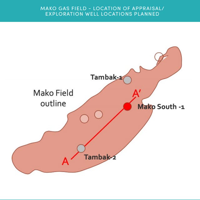 Mako well offshore Indonesia strengthens gas resource | Offshore