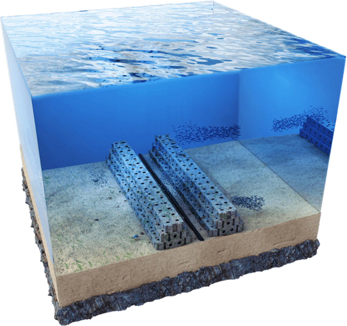 ARC Marine wins support for artificial reef development | Offshore