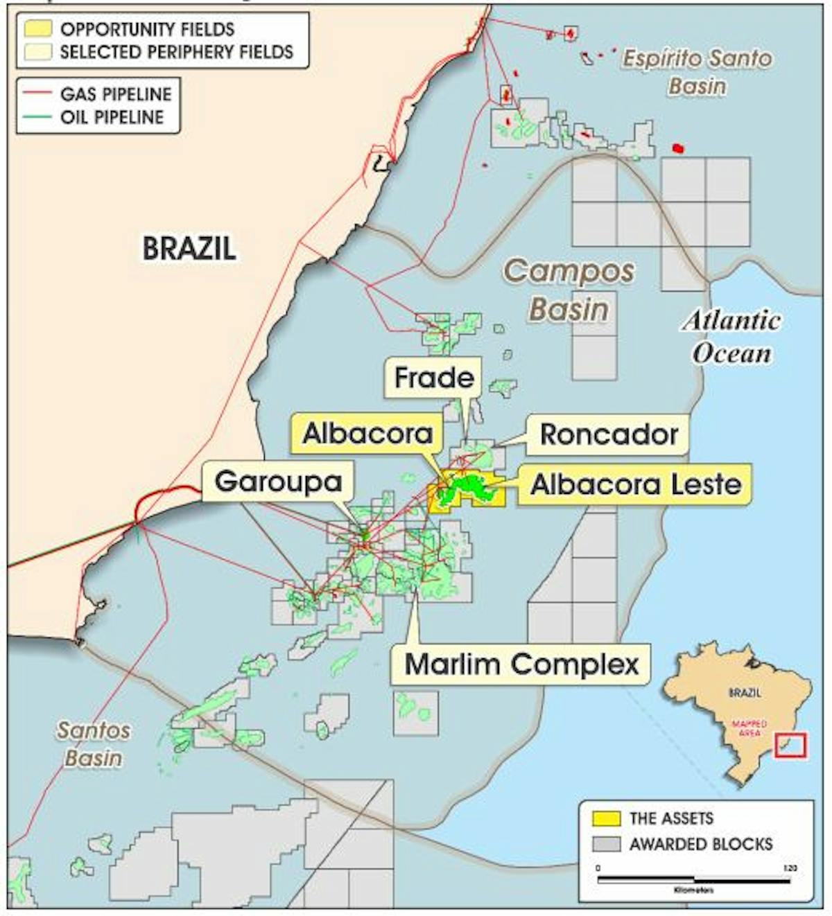 Petrobras opens offer process for two deepwater Campos basin oil and ...