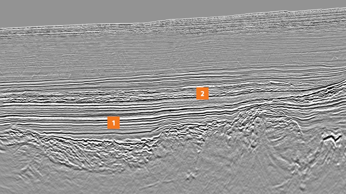 PGS issues southern Namibe basin dataset | Offshore