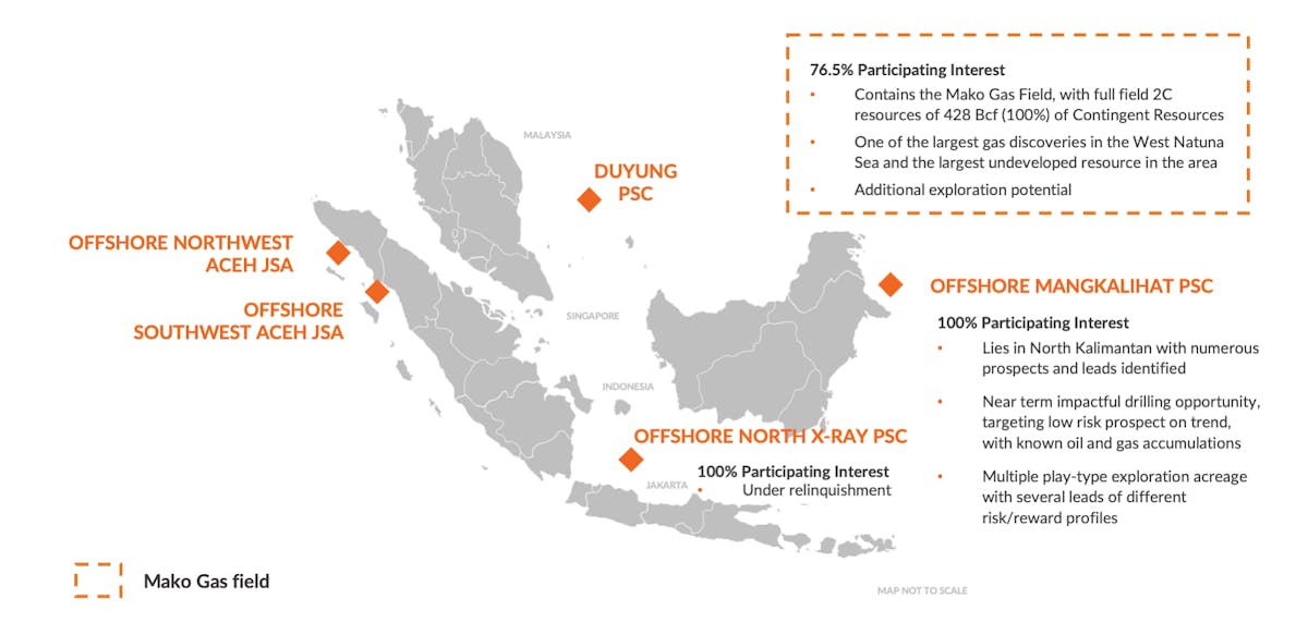Favorable gas market for Mako field development offshore Indonesia ...