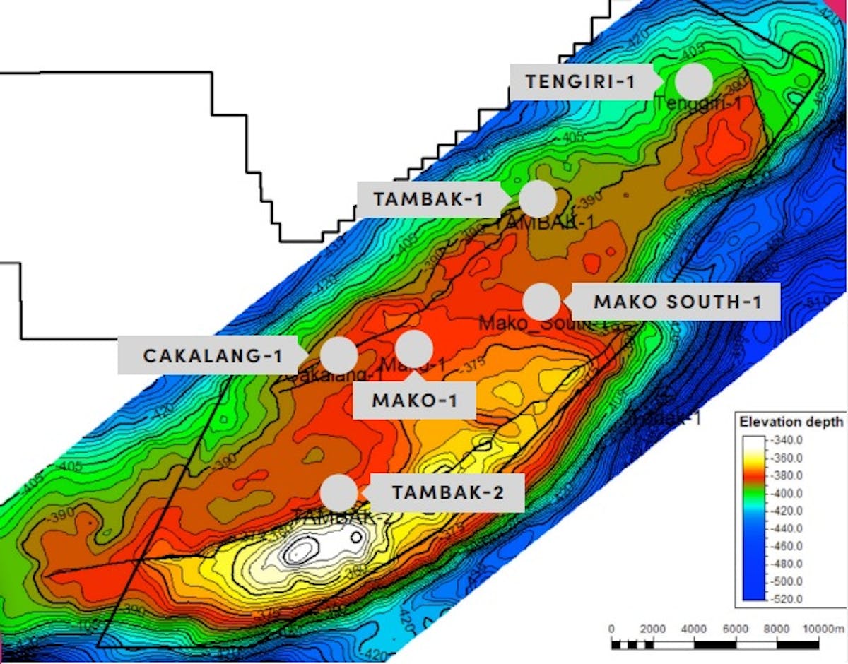 Favorable gas market for Mako field development offshore Indonesia ...