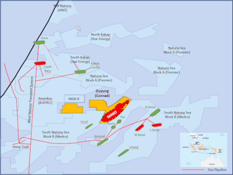 Favorable gas market for Mako field development offshore Indonesia ...