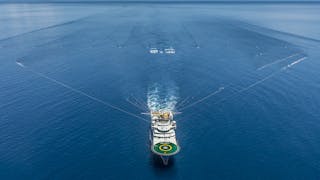 CSA assesses impact of planned 3D survey offshore Suriname | Offshore