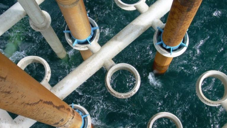 Aquaterra supporting Caspian Sea Babek well with HP/HT riser | Offshore