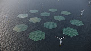 SolarDuck, RWE partner on floating solar technology pilot in North Sea ...
