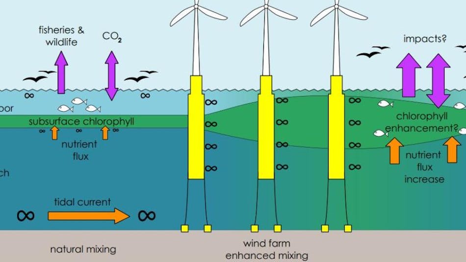 Oceanographers call for tidal flow research for deepwater wind farms ...