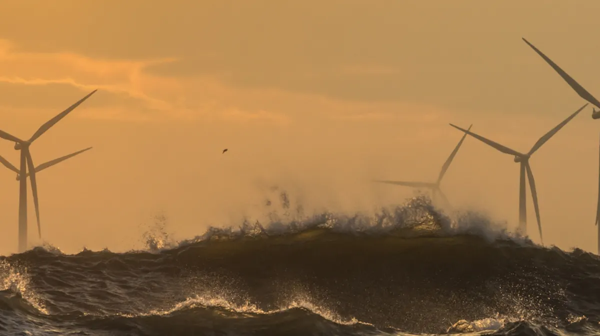 Wood managing pre-FEED for Salamander floating wind farm offshore ...