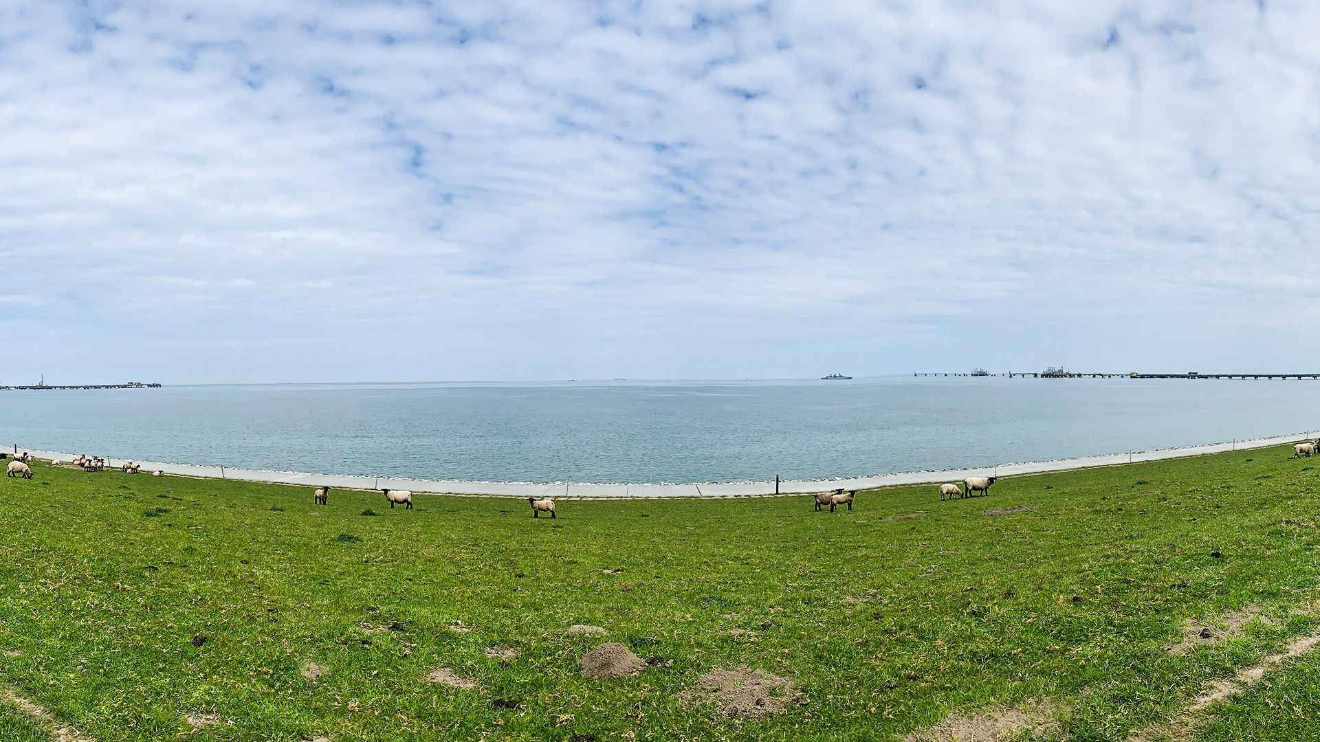 Wintershall Dea, NWO enter hydrogen production/North Sea carbon storage ...