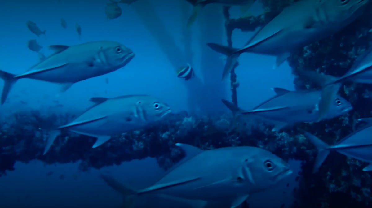 Chevron gives new life to old platforms in Gulf of Thailand | Offshore