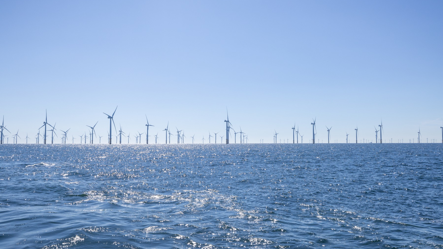 Shell, Eneco win bid to develop offshore wind power in the Netherlands ...