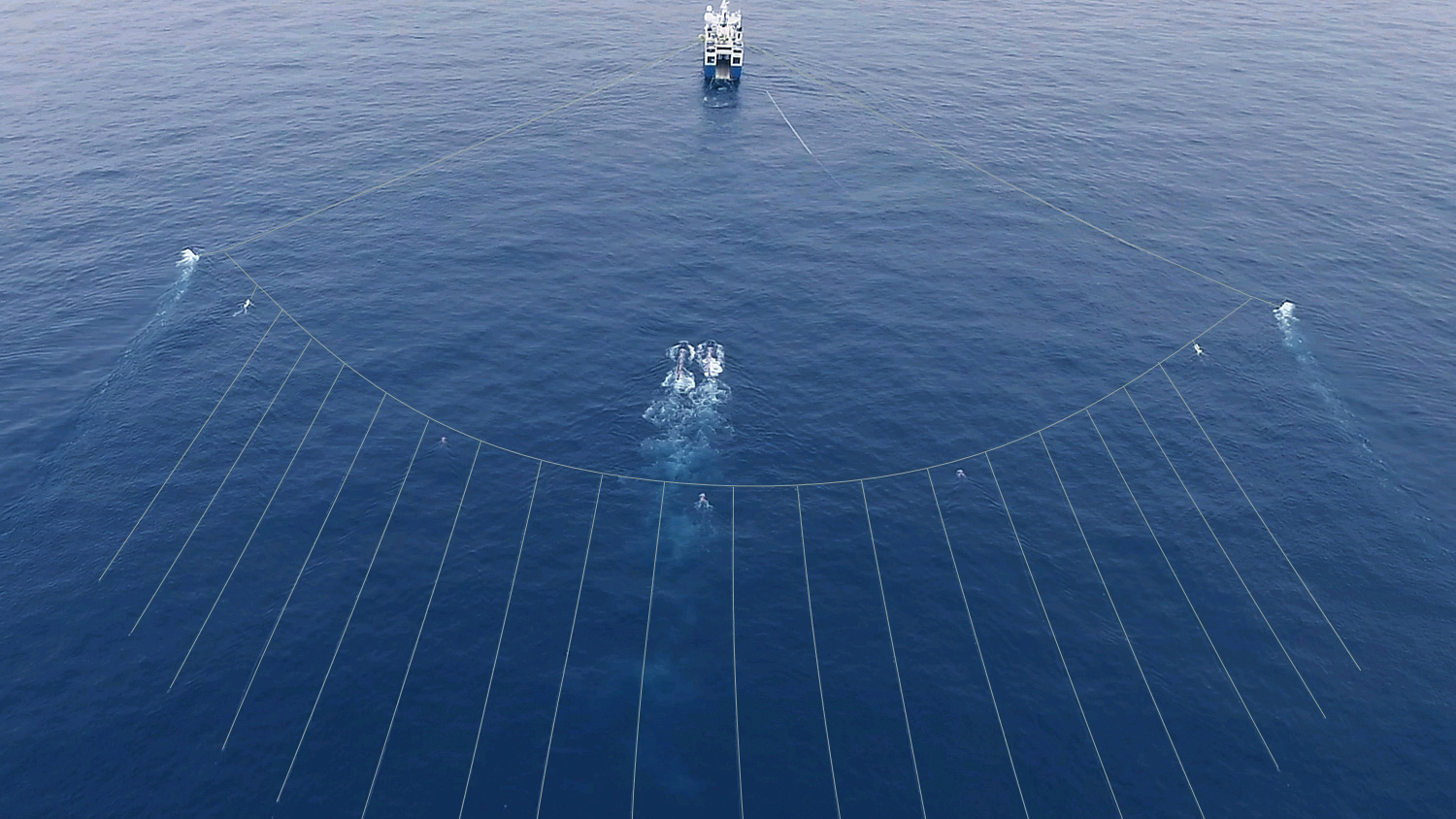 PGS deploying ultra-HR 3D streamer for offshore wind survey | Offshore