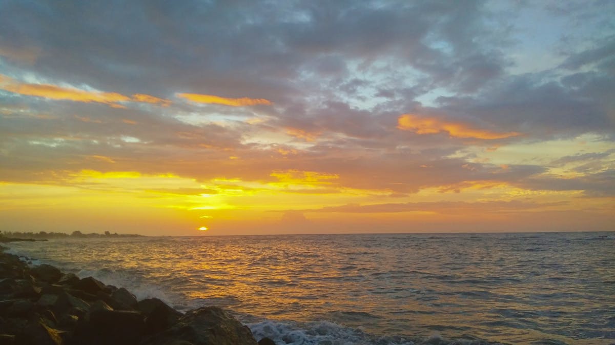 Sunrise partnership assessing options for gas-condensate project | Offshore