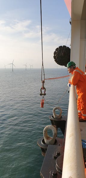 Ace Aquatec, Ocean Health cooperate on marine mammal protection | Offshore