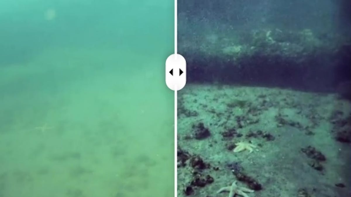 Ashtead adds Orphie sharp-view cameras to rental options | Offshore