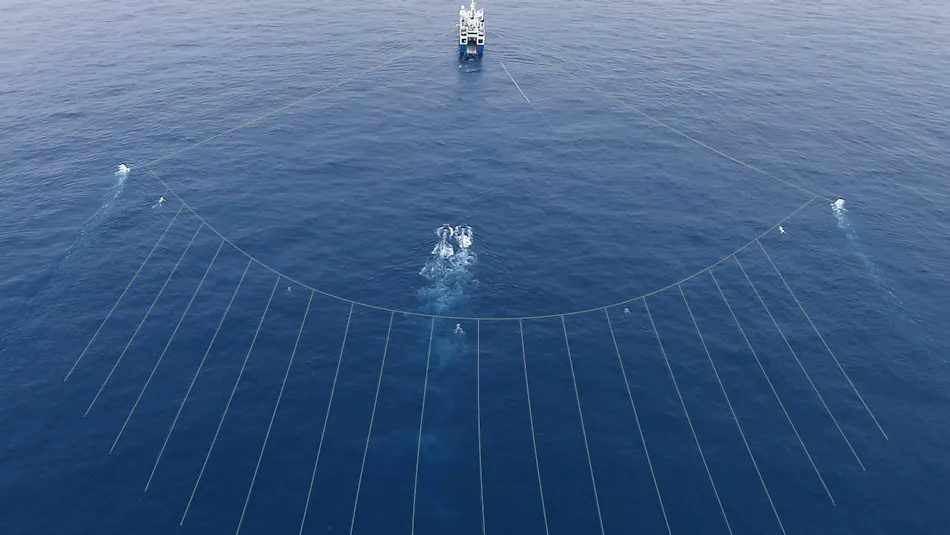 Seismic survey market finally recovering | Offshore