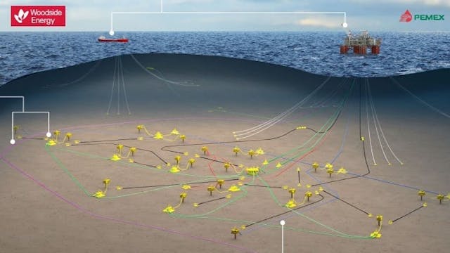 Woodside chooses Dril-Quip subsea wellheads for deepwater Trion project ...