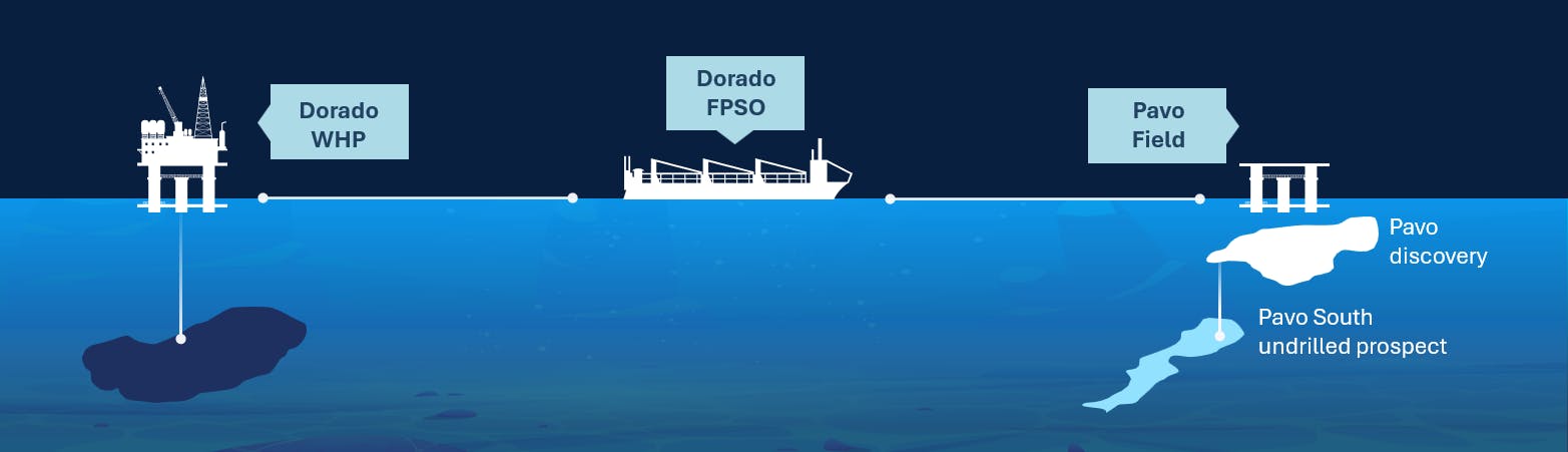 Carnarvon Energy CEO: FID on Dorado project expected this year | Offshore