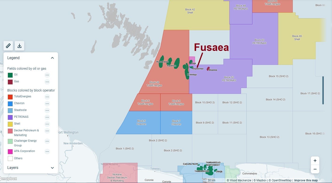 Fusaea oil find could lead to FPSO development offshore Suriname ...
