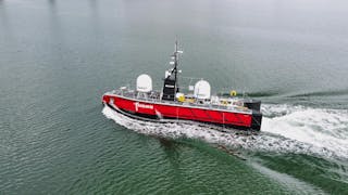 needlefish ocean infinity